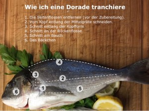Dorade ohne Gräten – Tischgespräch